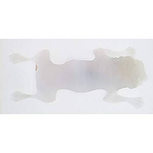 AK ART KITCHENWARE Pug Dog 3D Silicone Cake Mold Mousse Mould Fondant Tools Cake Decorating Tools Dessert Sweet SM-1172