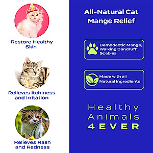 HealthyAnimals4Ever Mange Relief for Cats - Treatment for Itchiness, Scabs, & Hair Loss Caused by Mites - All-Natural, Homeopathic, Non-GMO, Organic - Gluten, Preservative & Chemical Free - 300 ct