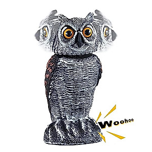 XYSFUZD Plastic Fake Owl for Garden Owl with Moving Head and Sound Owl Statues