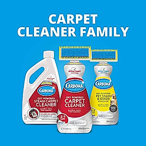 Carbona Oxy-Powered Pet Stain & Odor Remover w/ Active Foam Technology | 22 Fl Oz, 2 Pack