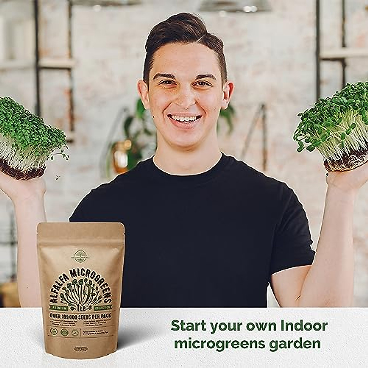 Organo Republic Alfalfa Sprouting & Microgreens Seeds - Non-GMO, Heirloom Sprout Seeds Kit in Bulk 1lb Resealable Bag for Planting in Soil, Coconut Coir, Garden, Hydroponic System