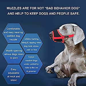 Brilliant Paw Dog Muzzle, Breathable Cloth Muzzle Anti Barking Biting Chewing, Soft Muzzle Dog with Adjustable Velcro, Muzzles for Extra Small, Small, Medium and Large Sized Dog