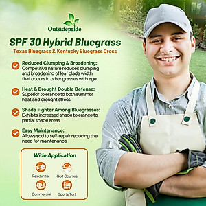 Outsidepride SPF-30 Hybrid Bluegrass Seeds - 5 lbs. Heat & Drought Tolerant, Texas Bluegrass & Kentucky Bluegrass Seed Mix for Challenging Climates, OptiGrowth Coated for Better Establishment