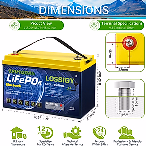 LOSSIGY 12V 100AH LiFePO4 Lithium Battery, Low Temp Protection with 100A Bluetooth BMS, 10 Yrs Lifespan, 400A Peak Current, Perfect for Golf Cart, Trolling Motor, Solar System, RV, Marine
