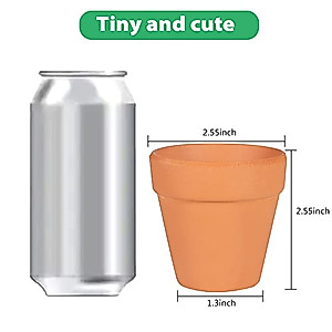 Baxrou 2.55 Inch Terra Cotta Pots 30pcs Small Mini Clay Pots with Drainage Holes,Cactus Flower Nursery Terracotta Pots for Indoor/Outdoor Succulent Plants, Crafts, Wedding Favor