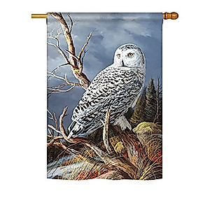 Breeze Decor H105051-BO Superior Vantage Owl Garden Friends Birds Decorative Vertical House Flag, 28"x 40", Multi-Color