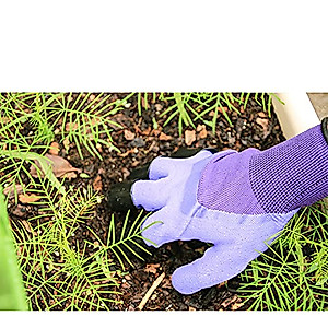 BDDMYAA Weed Puller,Hand Weeder Tool,Garden Lawn Farmland Transplant Gardening Bonsai Tools (with Garden Gloves)