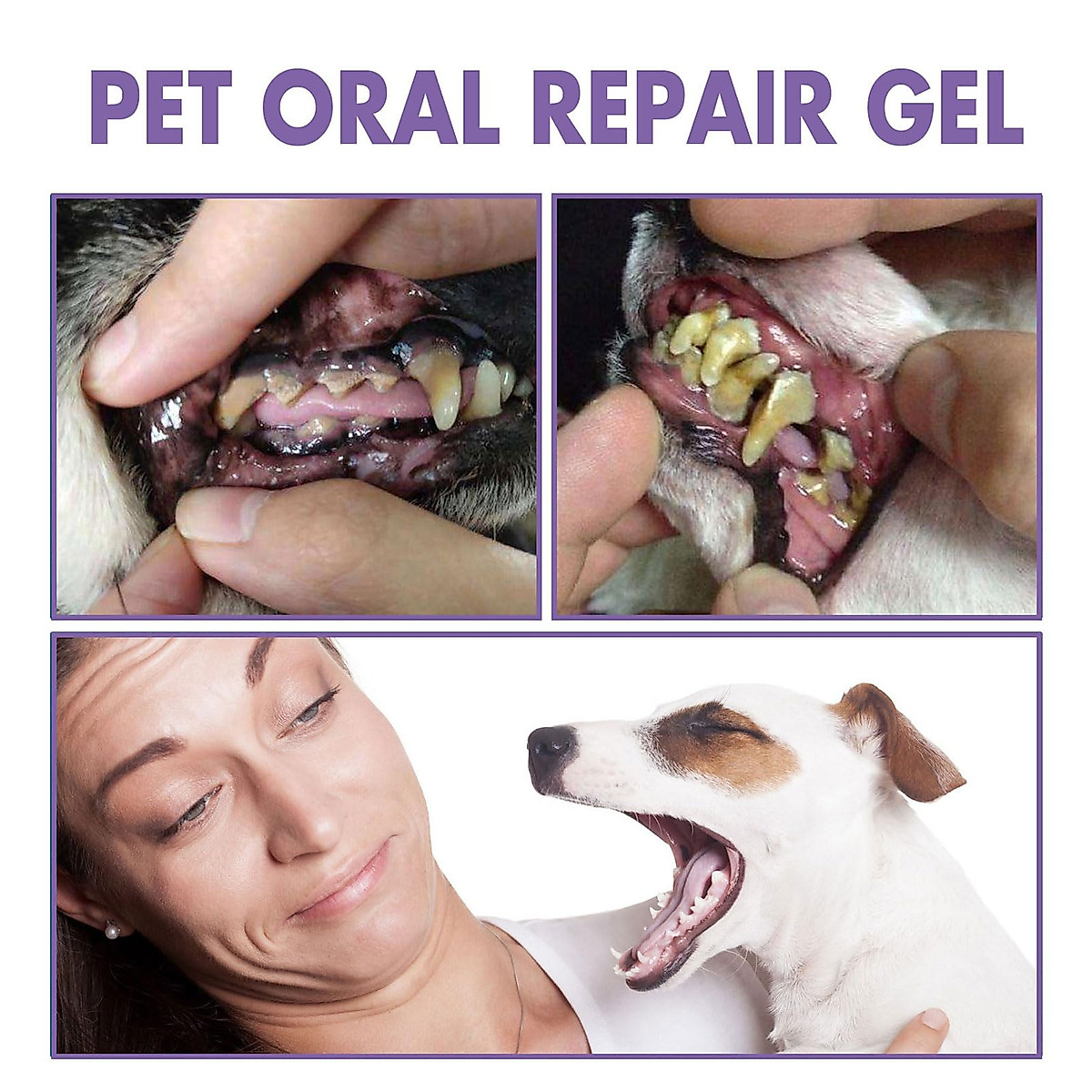 Pet Oral Repair Gel, Pet Oral Repair Gel for Dogs, Pet Oral Restoration White Gel, Pet Oral Restorative Gel, Pet Breath Freshener Gel, for Dogs & Cats (2PCS)