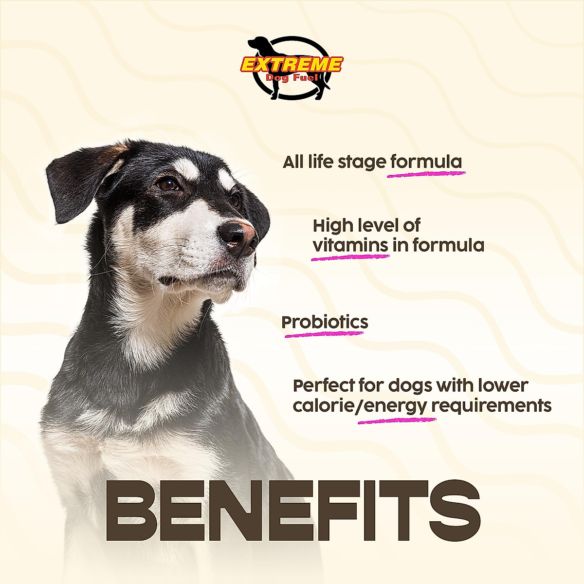 Extreme Dog Fuel Elite Nutrition Chicken & Brown Rice 22-12 for Dogs All Life Stages - Dog Probiotics for Digestive Health, Essential Pet Supplement for Overall Wellness - 20 LB