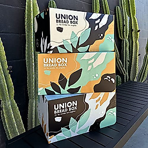 Sonder Los Angeles, Modern Bamboo Fiber (White) Bread Box for Kitchen Countertop with Reversible Wood Serving Lid, Homemade Bread Storage 14.25 x 9.25 x 7in, Storage Bin and Bread Container