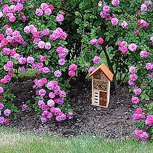 Lulu Home Wooden Insect House, Hanging Insect Hotel for Bee, Butterfly, Ladybirds, Beneficial Insect Habitat, Bug Hotel Garden, 10.4 X 3.4 X 5.4 Inch