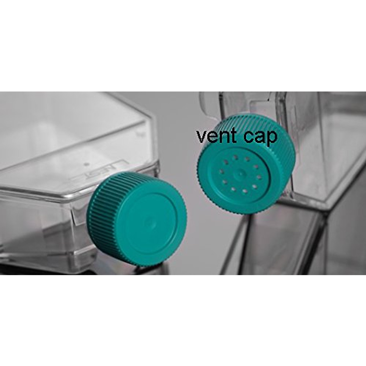 Sterilized Cell Culture Flasks - 250ml, 75cm2, Vent Cap, 5/pk