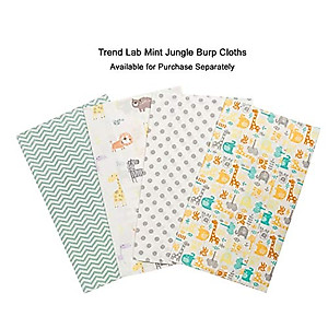 Mint Jungle 4 Pack Flannel Blankets - 4 Deluxe Flannel Blankets, Chevron, Crayon Jungle, Dot, Lullaby Zoo Print, Mint, Yellow, Gray, Orange, 30 in x 30 in