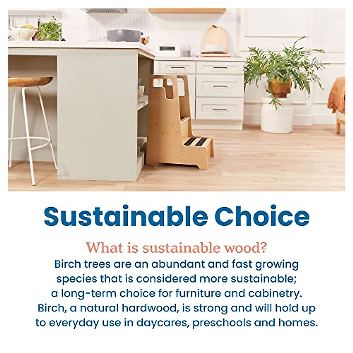 ECR4Kids Reach-Up Step Stool with Handles, Children's Furniture, Natural