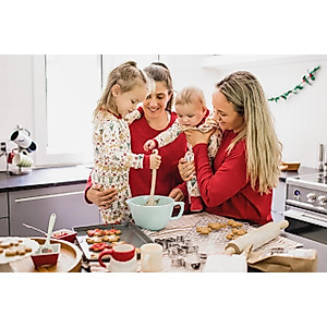 Burt's Bees Baby Baby 1-Piece Family Jammies Matching Holiday Organic Cotton Pajamas, Gingerbread Fair Isle, 3-6 Months