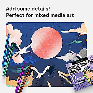Metallic Paint Pens for Rock Painting, Stone, Ceramic, Glass, Wood, Fabric, Pebbles, Scrapbook Journals, Photo Albums, Card Stocks. Set of 12 Acrylic Paint Markers Extra-Fine Tip 0.7mm