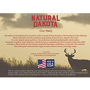 Natural Dakota Premium Deer Antler Dog Chew Toys (Small) Half-Pint