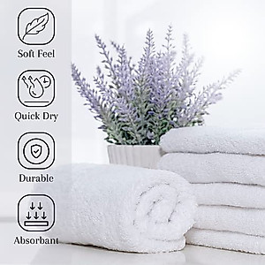 GOLD TEXTILES Premium Washcloths Towel Set (12 Pack, White, 12x12 Inches) Multi-Purpose Soft, Machine Washable Sports & Workout Towels (White, 12 Washcloths)