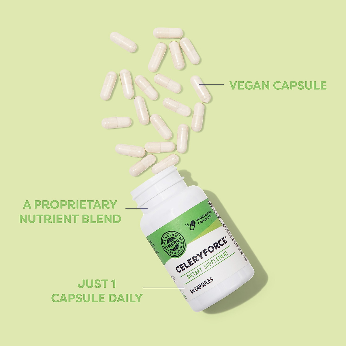 Vimergy Celeryforce ®, 60 Servings – Nerve, Muscle & Cell Support - Powerful blend of Magnesium, Inositol, L-Glutamine, L-Taurine & Choline – Non-GMO, Gluten Free, Kosher, No Soy, Vegan, Paleo