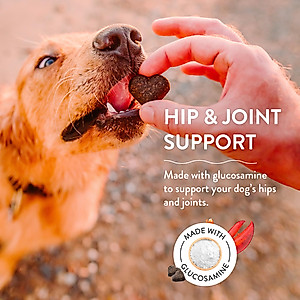 Shameless Pets Soft-Baked Dog Treats, Lobster Rollover - Natural & Healthy Dog Chews for Hip & Joint Support with Glucosamine - Dog Biscuits Baked & Made in USA, Free from Grain, Corn & Soy - 3-Pack