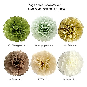 ANSOMO Sage Green Brown Gold Tissue Paper Pom Poms Party Decorations Olive Tan Ivory Flowers Wall Hanging Décor Jungle Safari Woodland Wild Table Centerpieces Supplies Birthday Bridal Baby Shower