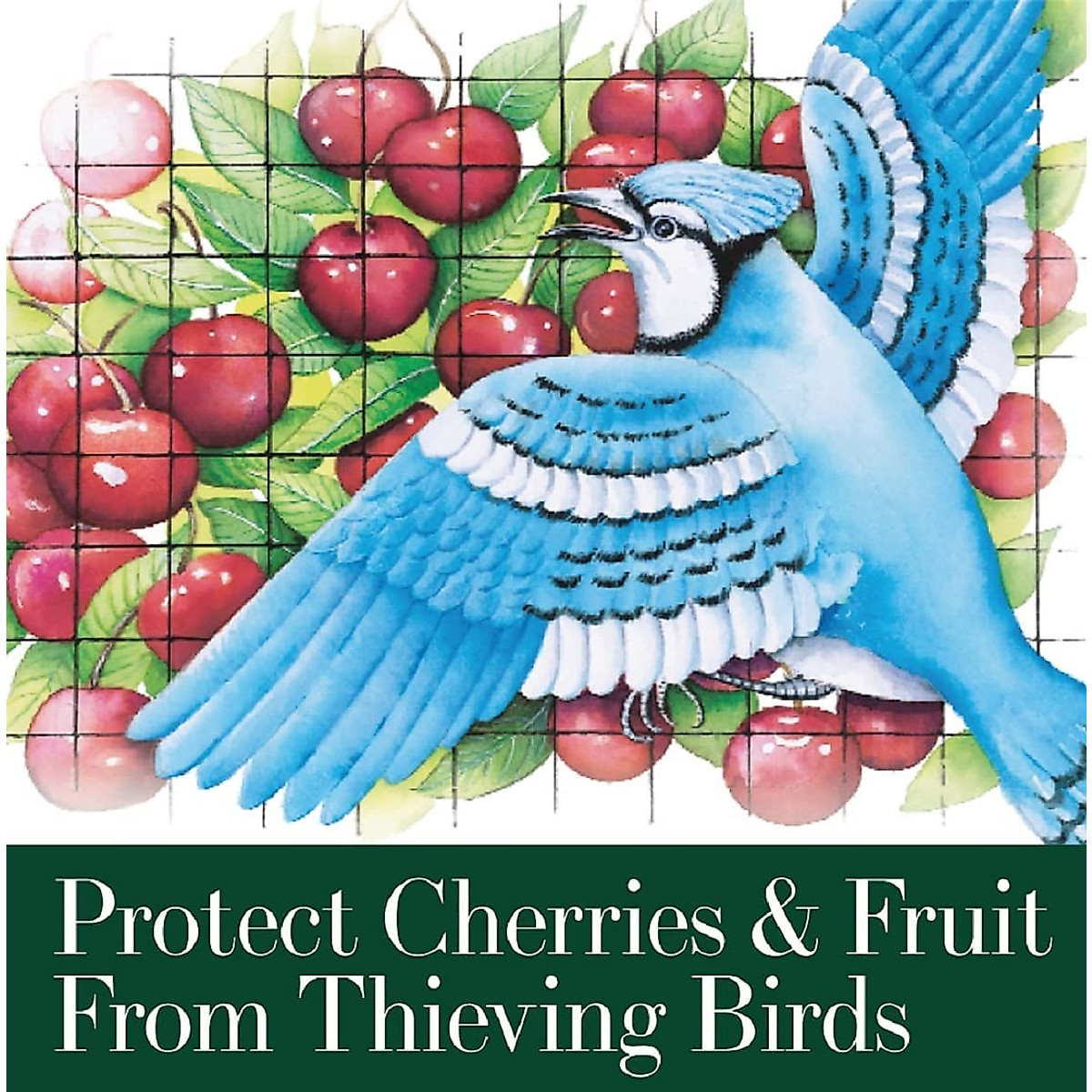 Dalen Bird X Protective Mesh Netting - Keep Birds and Pests Away from Your Garden – Non Toxic - Made in The USA - 14' x 14'