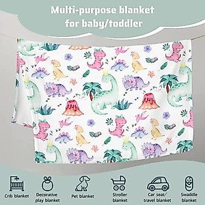 HawSkgFub Dinosaur Baby Blanket for Girls Gift Pink Purple, Tropical Dino Lover Flannel Fleece Nursery Bed Swaddle Receiving Blankets, Soft Lightweight Newborn Toddler Infant Crib kids Bedding 30 x 40