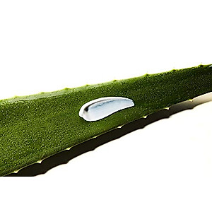 COSRX Aloe Soothing Sun Cream SPF50 PA+++, 50ml