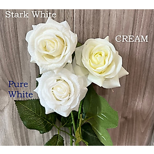 Angel Isabella, LLC Real Touch Rose - 1 Dozen(12 Stems) Life-Like Realistic Touch Artificial Flowers for Decor, Wedding, Crafts (White)