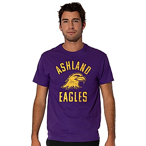 Ashland University Official Large One Color Logo Short Sleeve Mens Cotton T-Shirt,Purple, 2X-Large