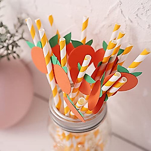 Orange Paper Straws - Biodegradable Disposable Drinking Striped Paper Straws 15 Pieces, Little Cutie Straws, Little Cutie Baby Shower Decorations, Little Cutie Themed Birthday Decorations