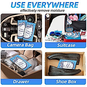 Wisesorb 25 Gram 10 Packs Moisture Absorbers, Dehumidifier Bags for Bathrooms, Basements, Rvs, Humidity Packets for Closet