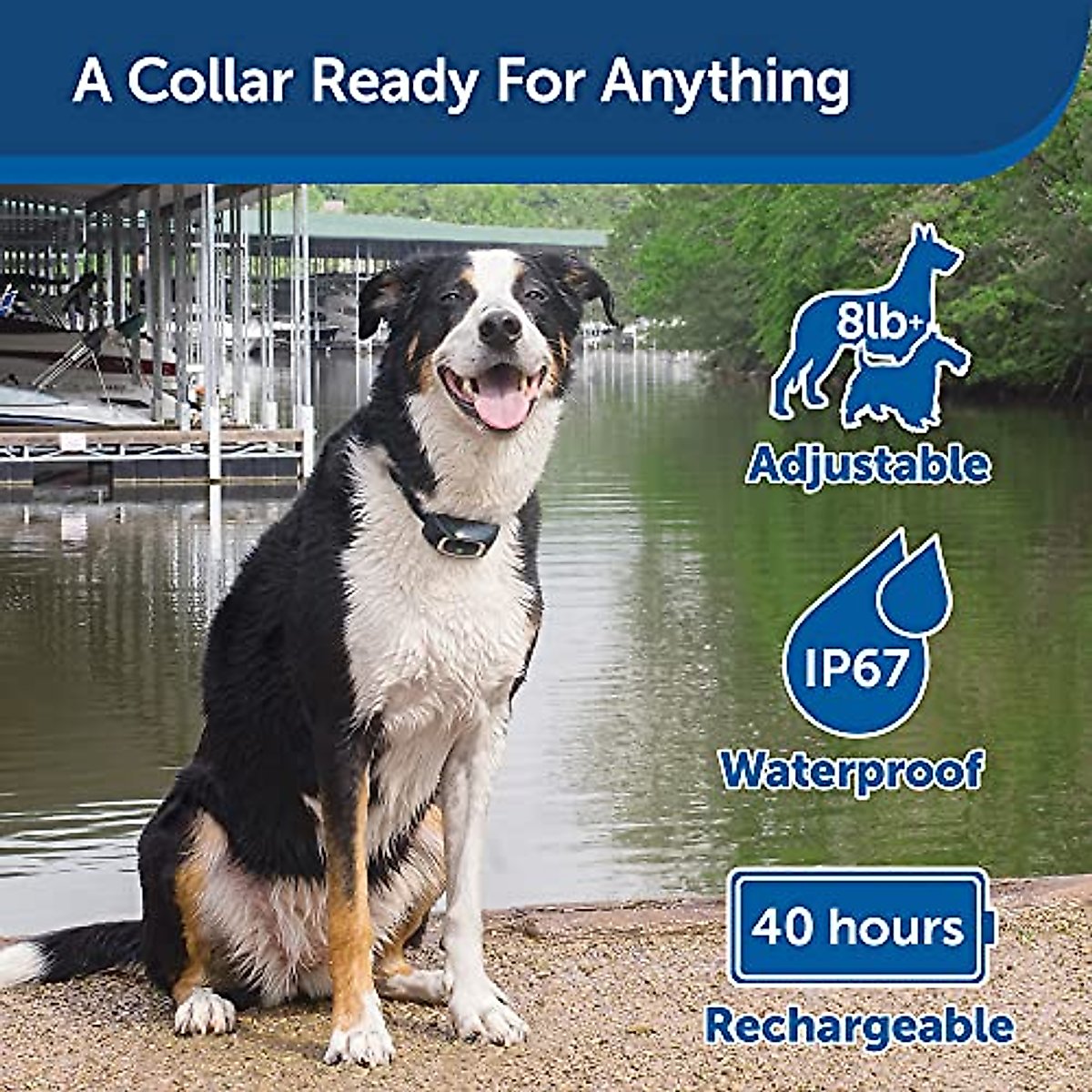 PetSafe Add-A-Dog Remote Training Collar – Perfect for Small, Medium and Large Dogs – Choose from Tone, Vibration, or 15 Levels of Static Stimulation – Waterproof and Durable – Rechargeable