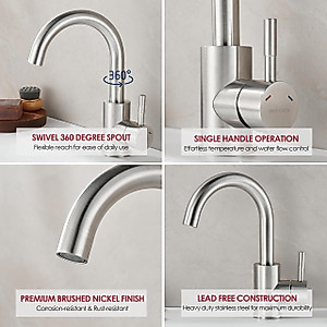 RODDEX Bar Sink Faucet, Single Hole 360 Swivel Stainless Steel Faucets, Small Modern Single Handle Tap for Kitchen Bath Bathroom Sink, Brushed Nickel