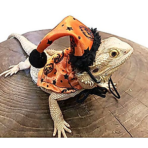 Lizard Clothes for Bearded Dragon - Halloween Hat and Cloak Set Adjustable Halloween Costume Xmas Gifts Pets Apparel for Bearded Dragon Rabbit Guinea Pig Ferret Hedgehog (Halloween Hat & Cloak Set)