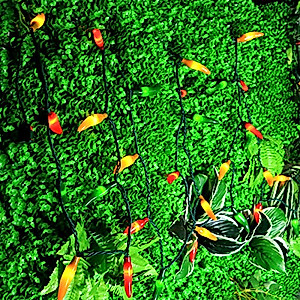 LUCKY SHINE 18 FT Chili Pepper Lights, Red Green and Yellow LED Home Decorations Lights String, for Kitchen, Patio, Window, Living Room, Garden.
