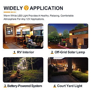 TOKCON 12 Volt Low Voltage LED Light Bulbs - Soft Warm 2700K 2W (Only for 12V DC/AC)- 25W Equivalent E26 Edison Base Small Globe Bulb for RV, Landscape Lights - 3 Pack