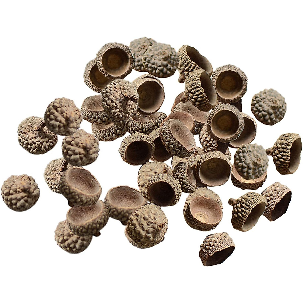 200Pcs Natural Acorns Caps Decorative for Craft Vase Fillers Home Garland Autumn Embellishments Ornaments Vase Fillers
