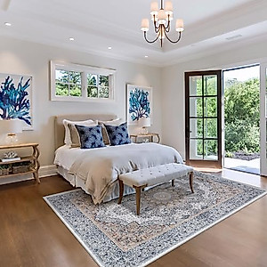 Rugs for Living Room 8x10 Area Rugs: Large Rug Machine Washable with Non-Slip Backing Non-Shedding Stain Resistant, Boho Carpet for Bedroom Dining Room Nursery Home Office Indoor Decor (Blue/Brown)