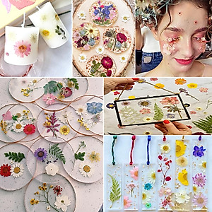 OECOO 285PCS Small Dried Pressed Butterfly Sticker Flower for Resin,Real Nature Pressing Floral Leaves for DIY Craft, Mold, Jewelry Making, Candle Scrapbooking Supplies