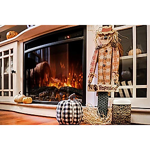 e-Flame USA Jackson 25"x21" LED Electric Fireplace Stove Insert with Remote - 3D Logs and Fire (Black)