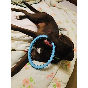 DentapupⓇ Dental Dog Toy Cleaning Teething Chew Ring with Teeth for Medium to Large Breed Dogs - Tartar & Plaque Remover, Gum Massager & Mouth Cleaner for Fresh Breath, Made in USA - Pink