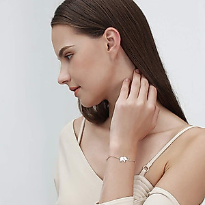 FANCIME Lucky Elephant Bracelet 925 Sterling Silver White Gold Plated Mini Small Elephant Charm Family Link Bracelet Jewelry Birthday Gifts For Women, 15+3 cm