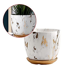 ARTIBETTER 1pc White Fairy Gardening Plant Orchid Succulent Plants Bonsai Planter Holder Cactus Modern Retro Pot: Supply Office Saucers Pots Marbling Vase Flowerpot Ceramic for Pot
