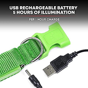 Illumiseen LED Dog Collar USB Rechargeable - Bright & High Visibility Lighted Glow Collar for Pet Night Walking - Weatherproof, in 6 Colors & 6 Sizes (Green Large)