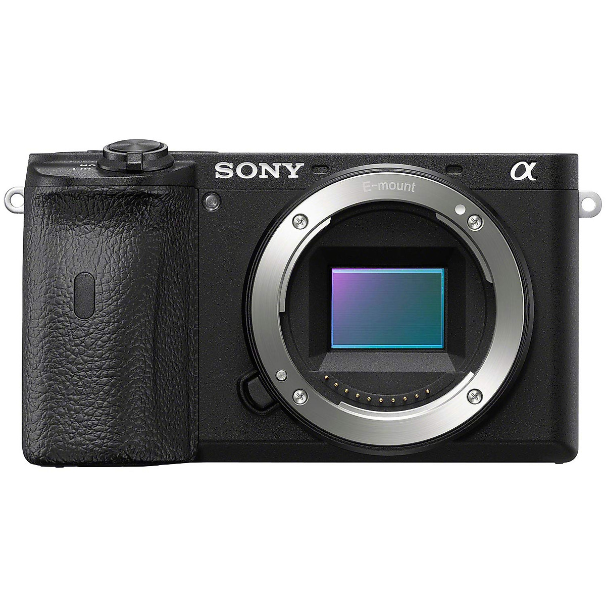 Sony a6600 Mirrorless Camera 4K APS-C Body Only Interchangeable Lens Camera ILCE-6600B with Deco Gear Case + Extra Battery + Flash + Wireless Remote + 64GB Memory Card + Software + Accessories Bundle