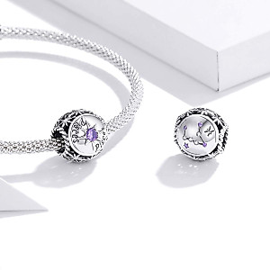 Pisces Constellation Charm 925 Sterling Silver Birthstone Charm Anniversary Charm Love Charm Lucky Charm for Pandora Charm Bracelet (Pisces (2.19-3.20))