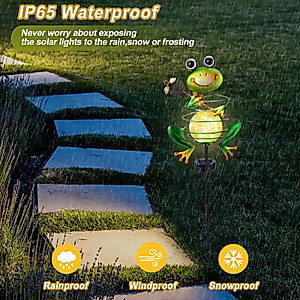 HEDAQI Frog Solar Garden Light, Metal Stake Light Crackle Glass Waterproof Globe Outdoor Decoration, Solar Power LED Light for Garden, Lawn, Patio, Pathway Decor