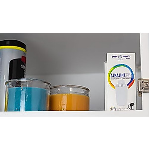 New Wave Enviro Products Alkaline Pitcher Filter Replacement Cartridge, Single Replacement, 64 Gallon Filter Life, White