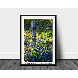 Country Photography Print (Not Framed) Vertical Picture of Fence Post Surrounded by Bluebonnets on Spring Day in Texas Wildflower Wall Art Farmhouse Decor (5" x 7")